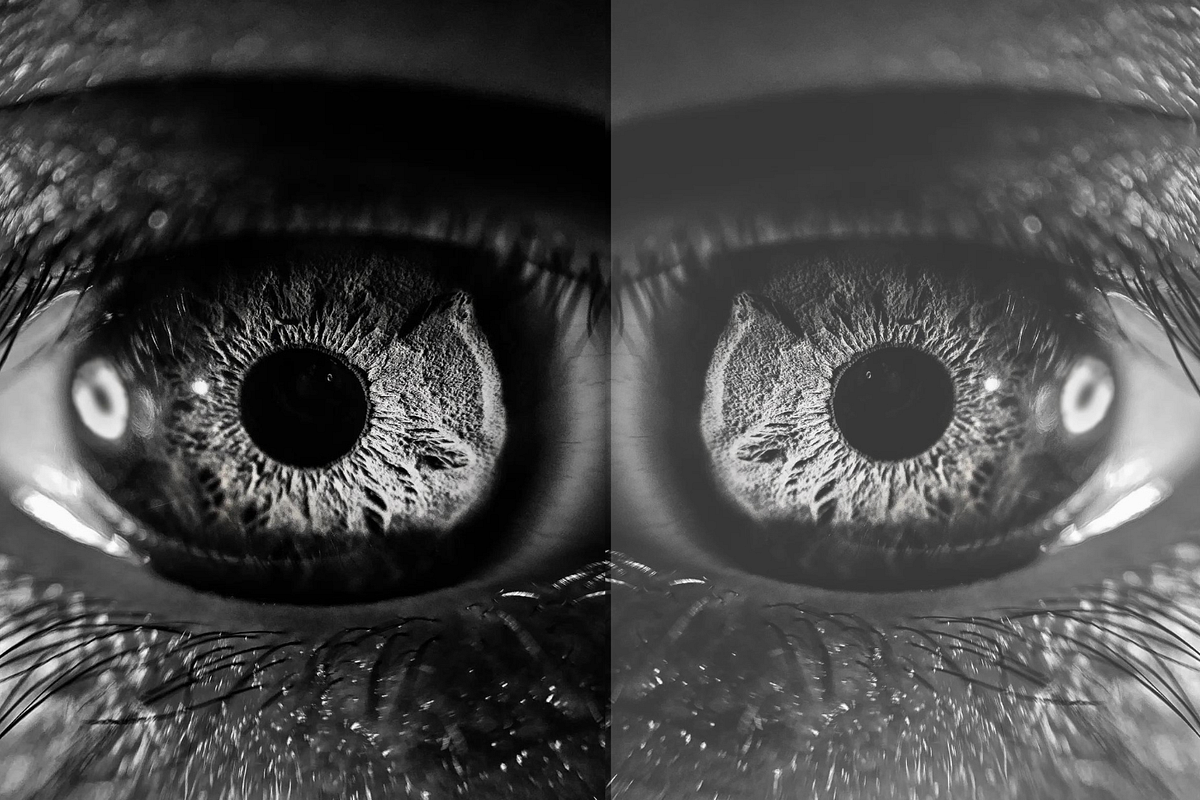 Altersense…. The Ego (Conscious Self — Phenomena)… | by Richard Schutte ...