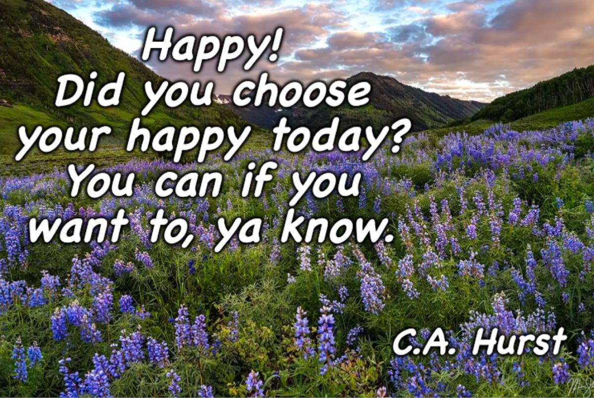 Happy! - C. A. Hurst - Medium
