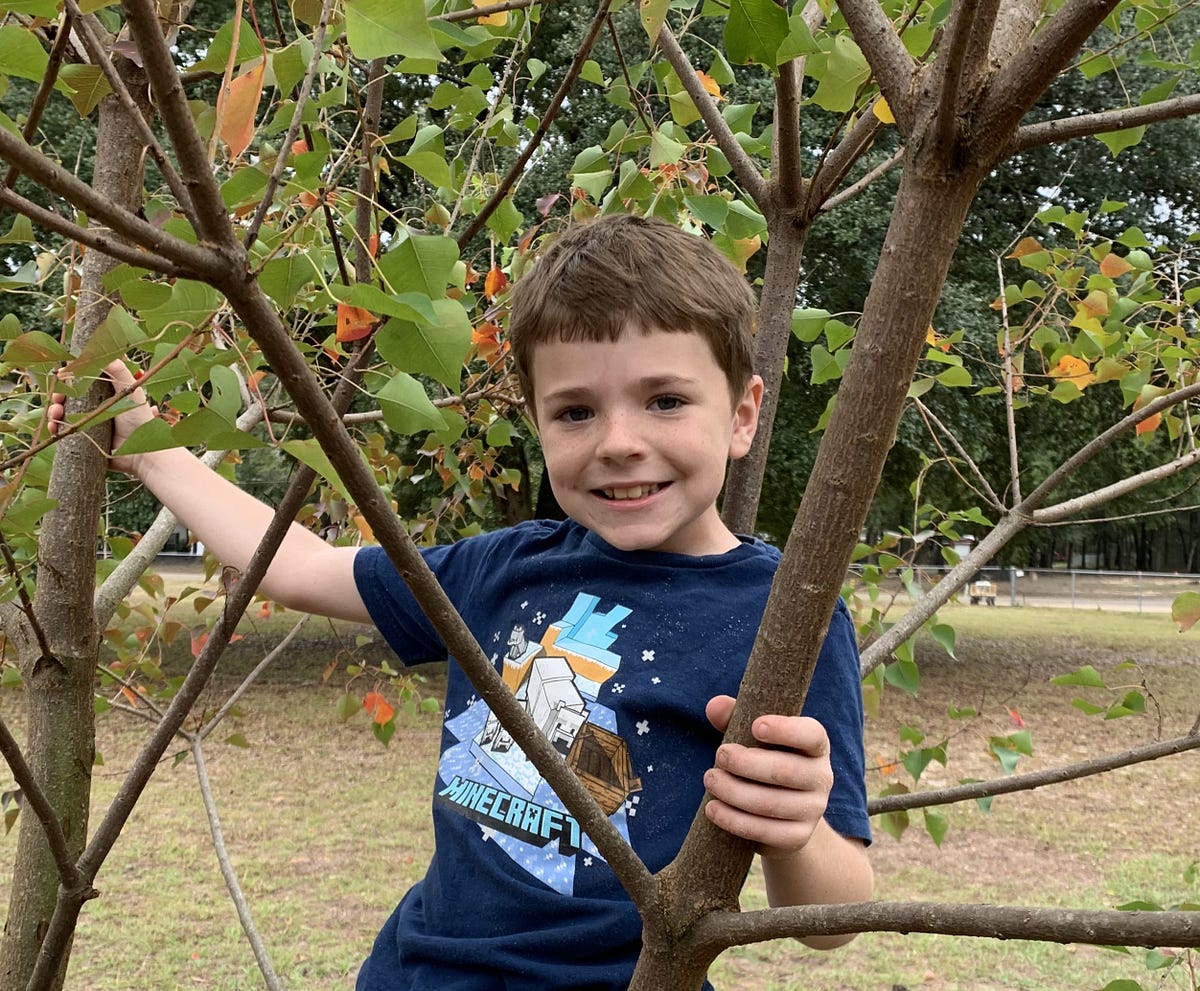 Colby’s Adoption Story. I wrote this story when Colby was a… | by Amy ...