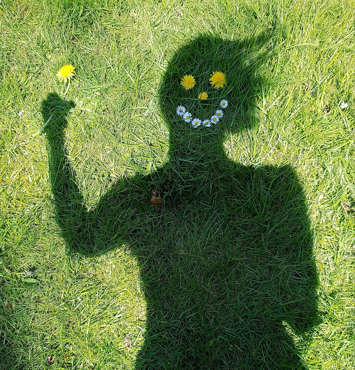 The Shadow Side of Your Higher Self | by Kimberly Fosu | Know Thyself ...