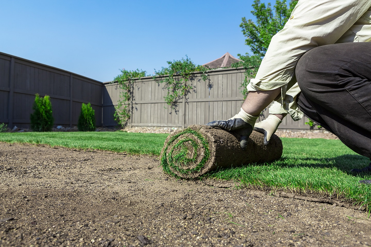 The Importance of Professional Lawn Installation in Tilton, NH | by ...