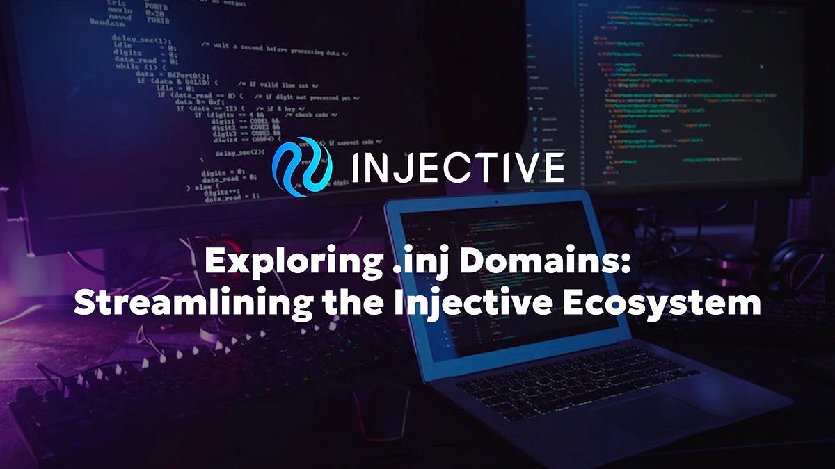 Exploring .inj Domains: Streamlining the Injective Ecosystem | by ...