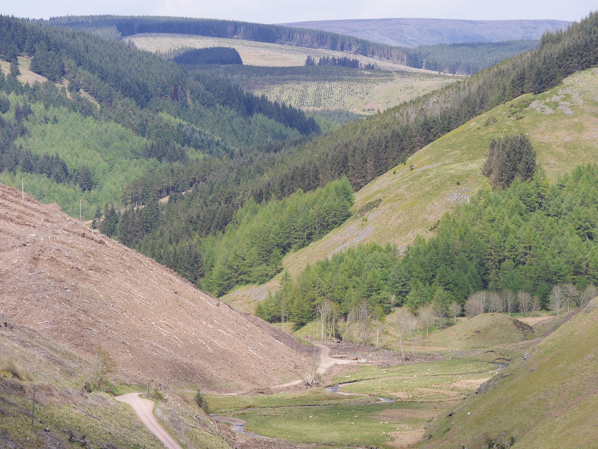 UK — Alwinton Hike, Northumberland National Park, Northumberland | by ...