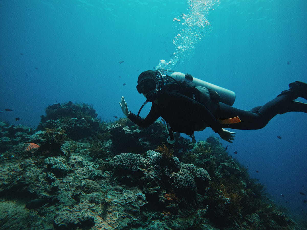 How Scuba Diving Changed Me. Falling face first on my anxiety train ...