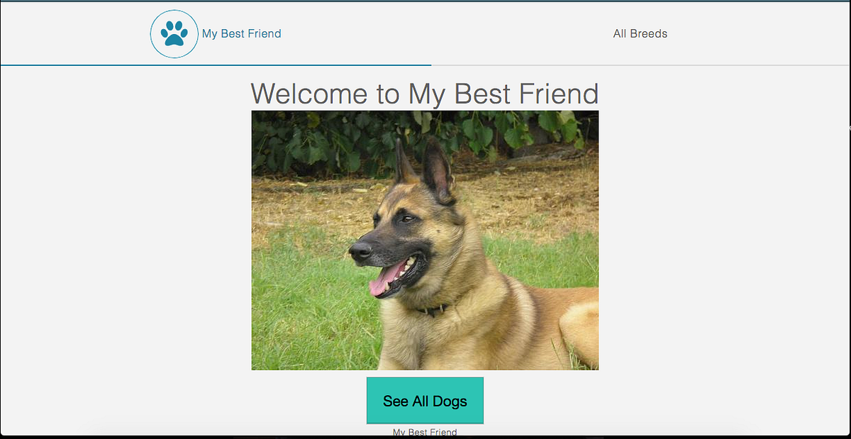 My Best Friend — Building an App using a Design System and Dog API | by ...