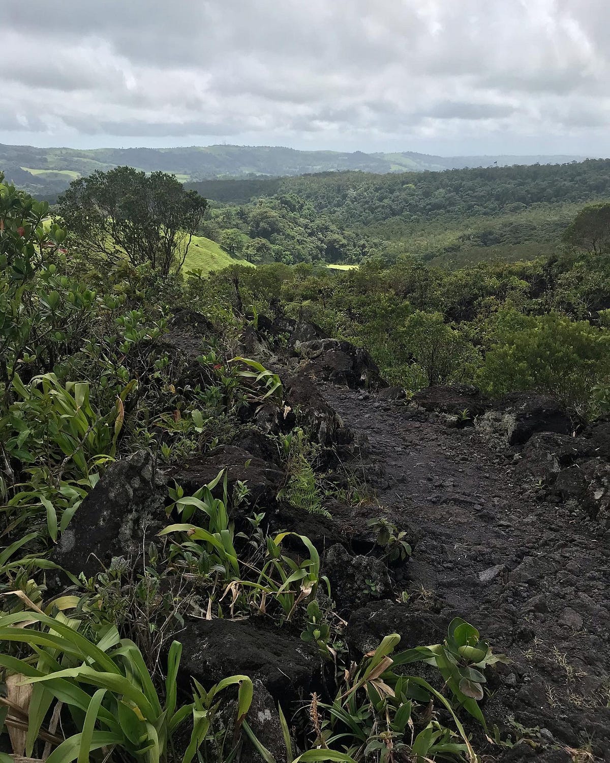 The 6 Reasons Costa Rica Must Be On Your Bucket List: | by Zach Breiner | ILLUMINATION | Medium