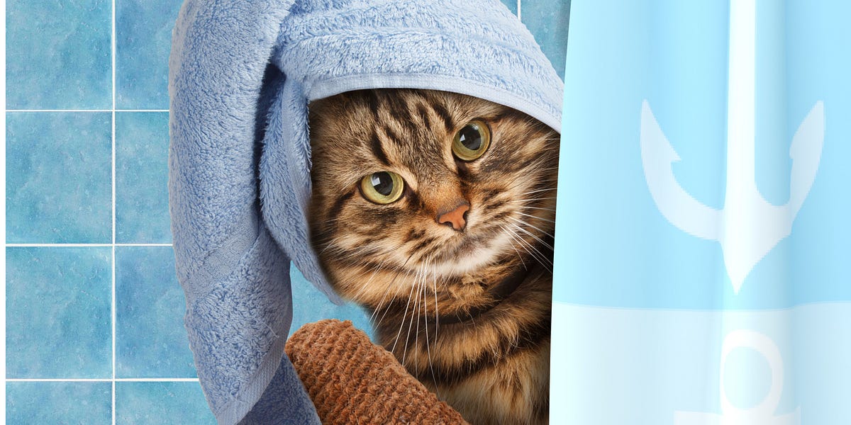 Why Sincere Apologies Matter As A Leader And How To Do It Well | by ...