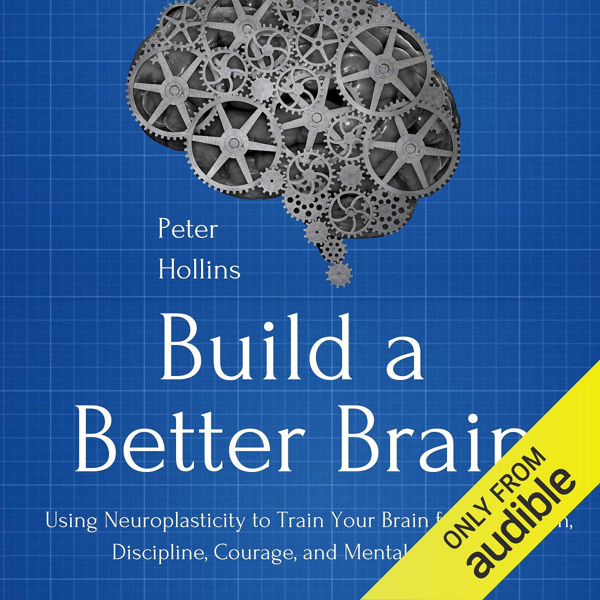 [EBOOK][BEST]} Build a Better Brain: Using Neuroplasticity to Train Your Brain for Motivation ...