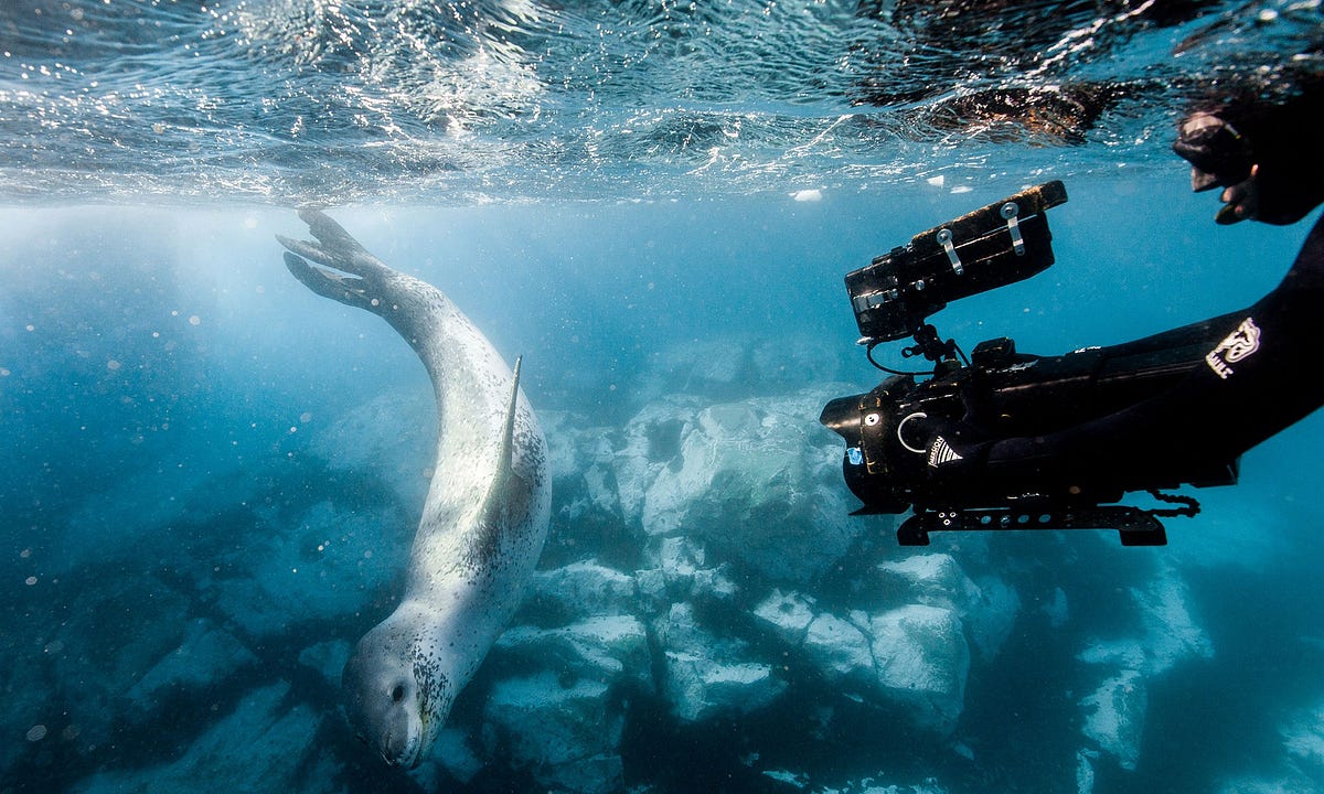 The Planet Earth Illusion. How planet earth acts as truth, when it ...