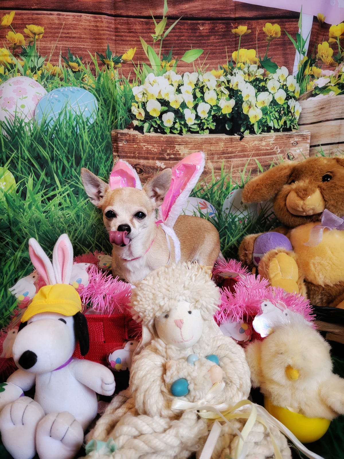 Easter Pet Photoshoot. I am lucky my dogs love Me | by A. Alexander ...