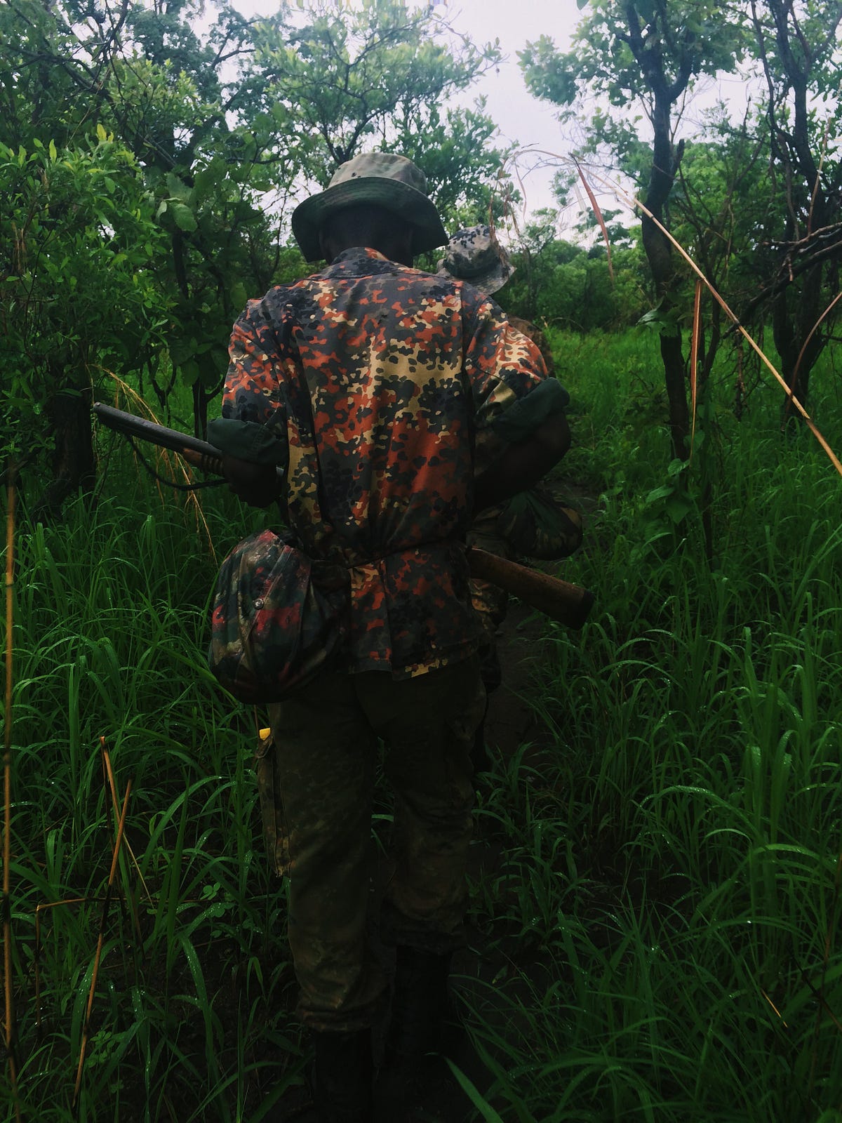 Searching for elephants, hunting for poachers | by Beckie Calder-Flynn ...