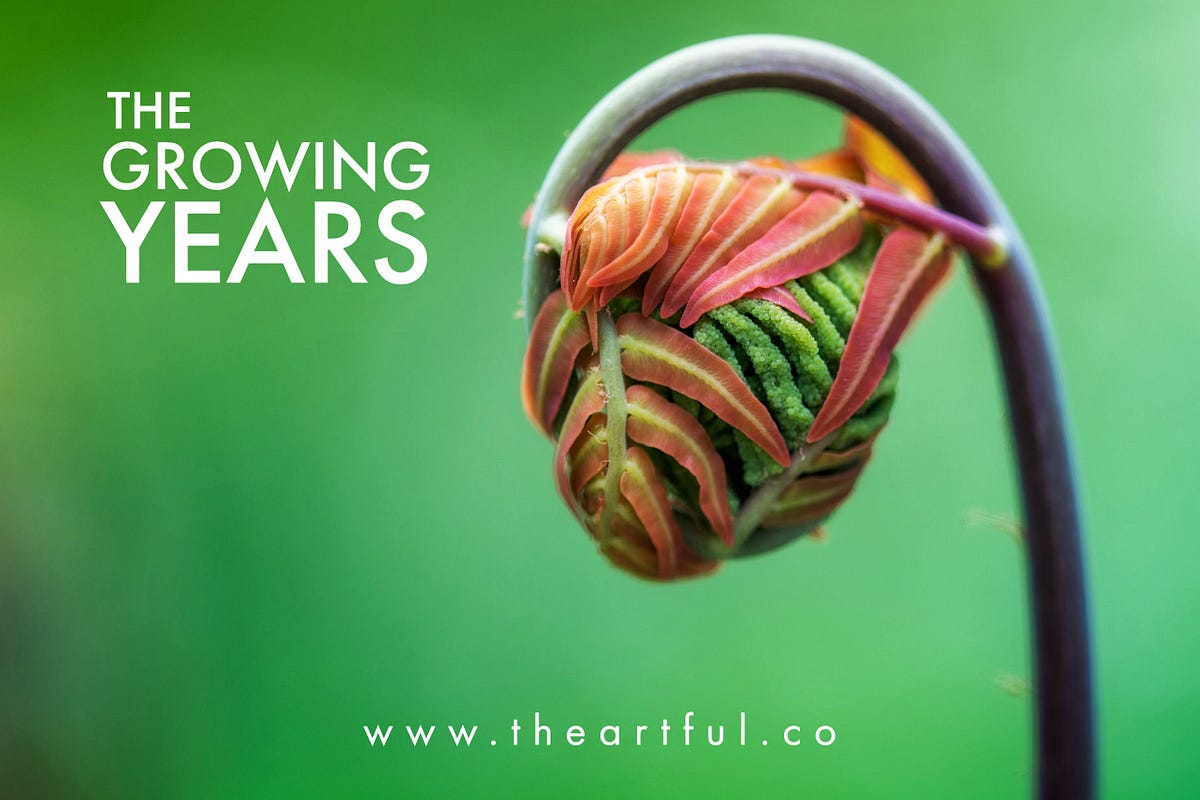 The Growing Years. At Ärtful, I’ve been building on a… | by Gabe ...