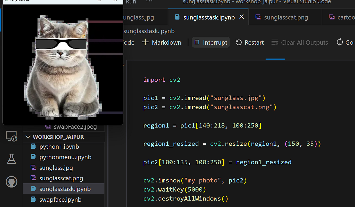 Adding Sunglasses to a Image Using OpenCV | by Harshita Sahu | Medium