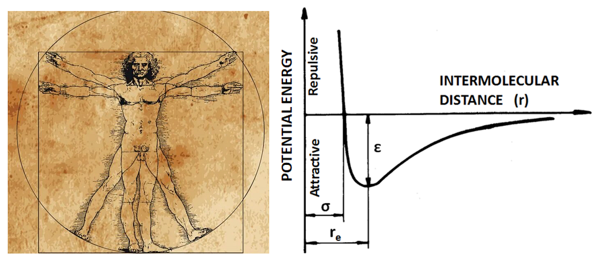 The Geometry of Curiosity. 16th-century Leonardo da Vinci, and… | by ...