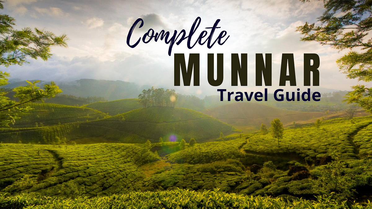 Munnar Tour and Travel Guide - Shweta Hellovisit - Medium