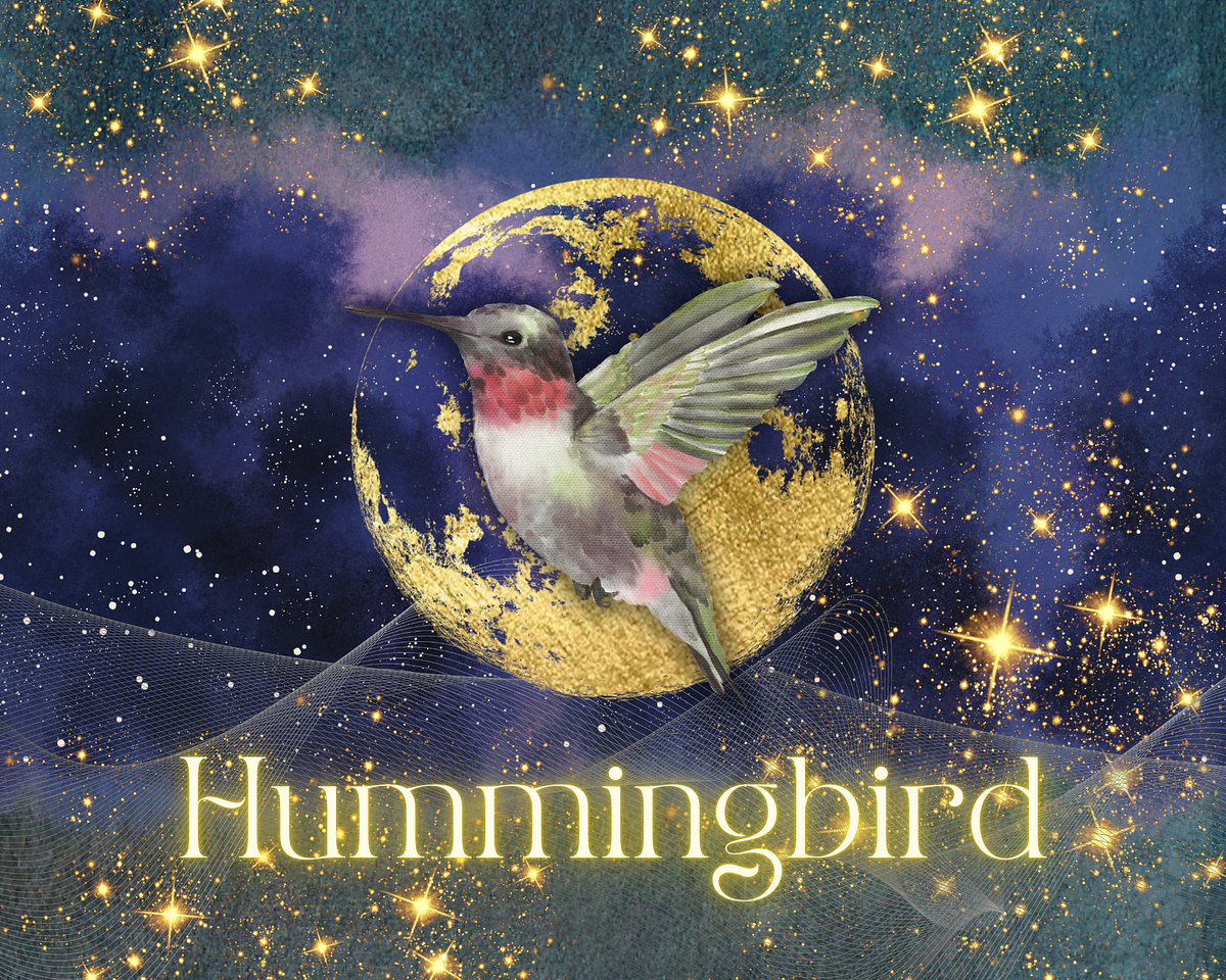 Hummingbird’s Interactive Quest. Interactive Story — Select Your Path ...