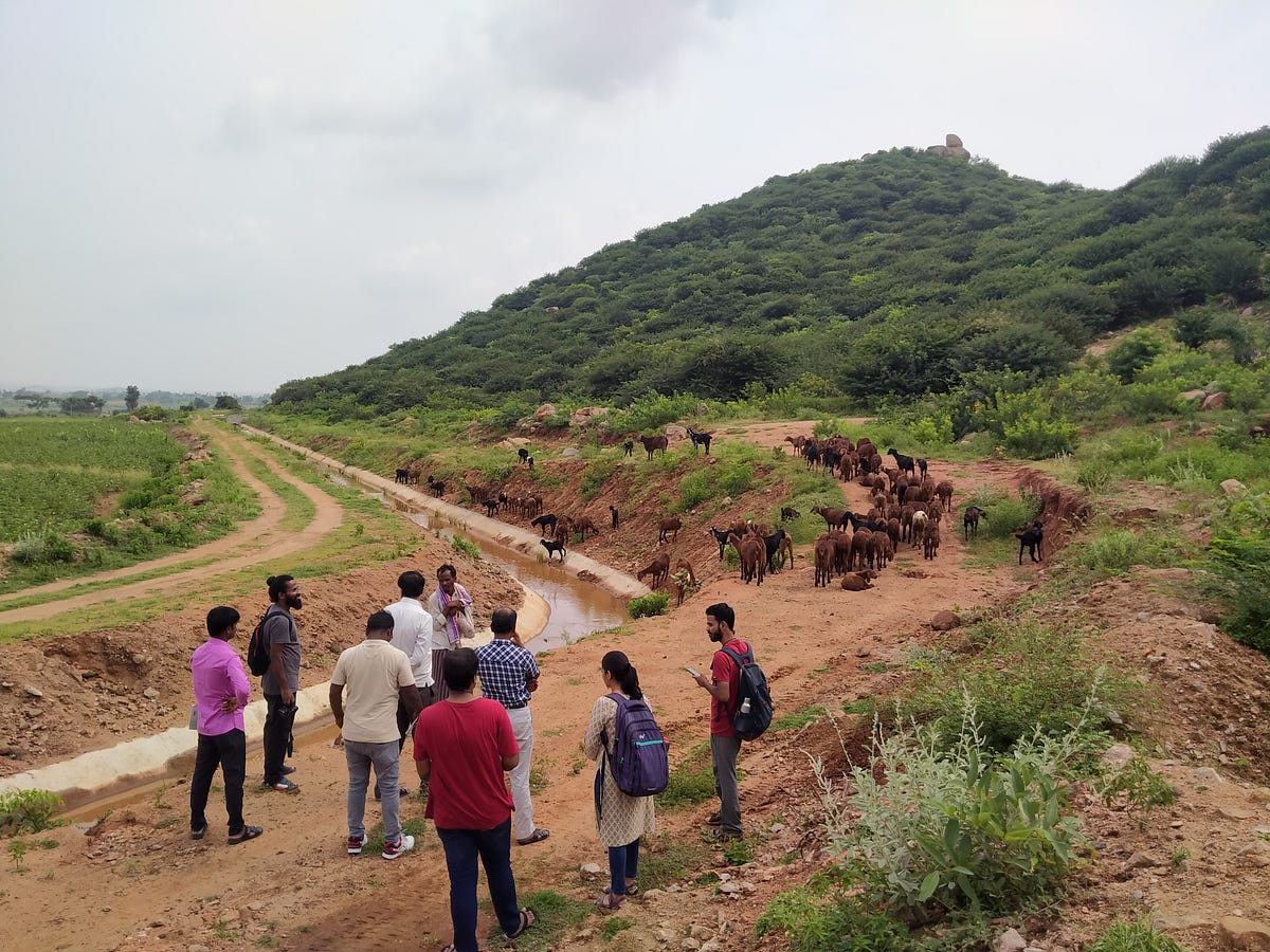 From Plural Livelihoods to Better Schools: What People Aspire for in Raichur | by Aditya ...