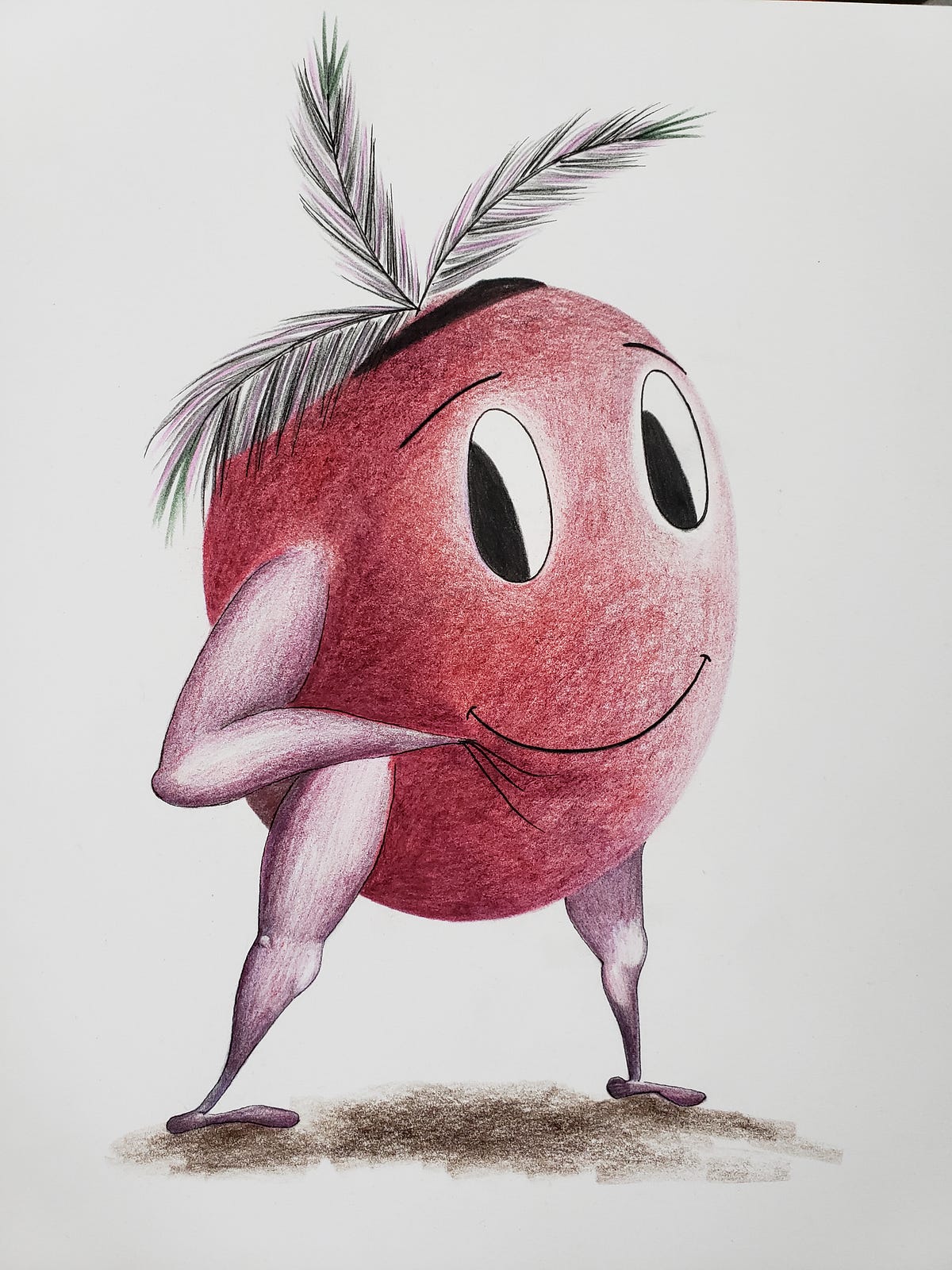 Our Harvest: Cranberries. Vaccinium macrocarpon are cranberries… | by ...