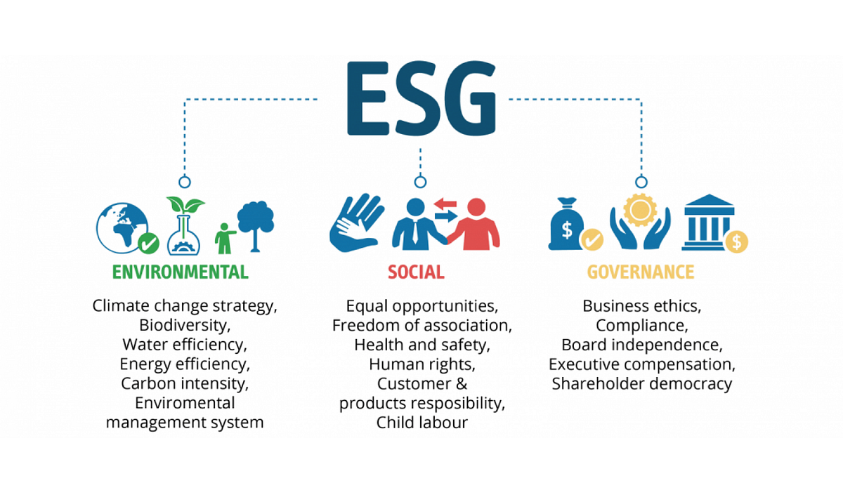Ever Wondered Why You Didn’t Get a Job. Maybe it’s Because of the ESG ...