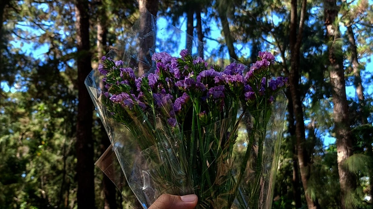 The Words I Hold Back. The Words Trapped Beneath My Silence | by wise | Jul, 2025 | Medium