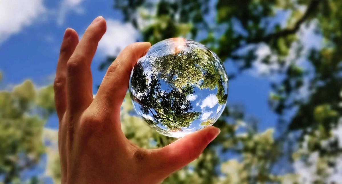 The Lifecycle of a Business and Your Role Within It — Creation | by ...