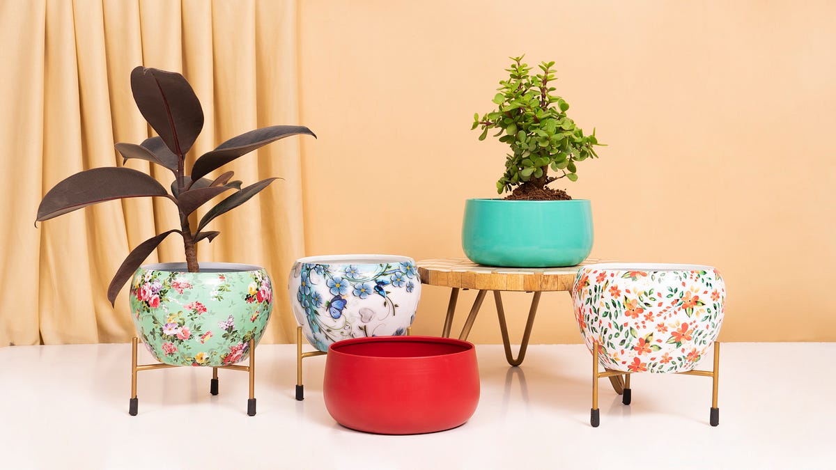 Five benefits of dining table plants | by Intern | Medium