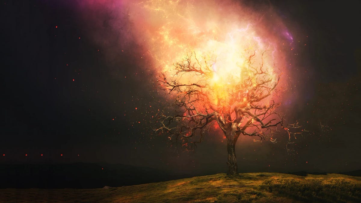 The Burning Bush. By looking at your lives, others around… | by Samuel ...