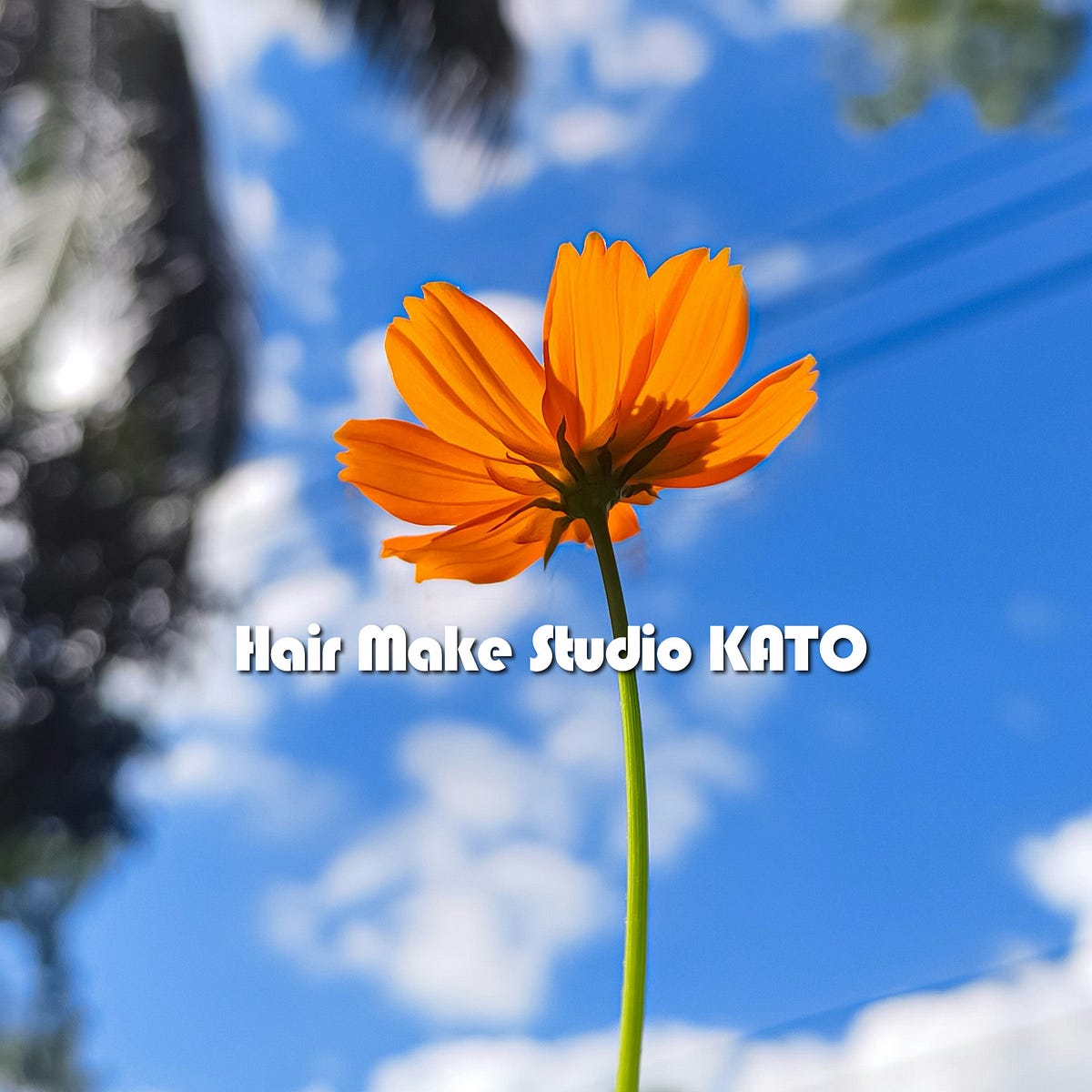 予約優先制導入のお知らせ・9月の営業カレンダー - Hair Make Studio KATO