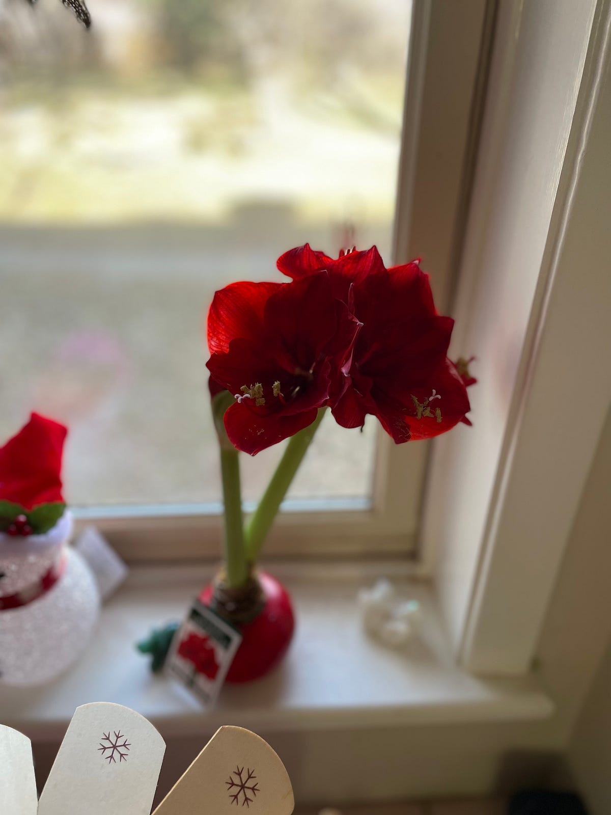 Daily Rituals: A barometric system for my Depression | by Skye Howell ...