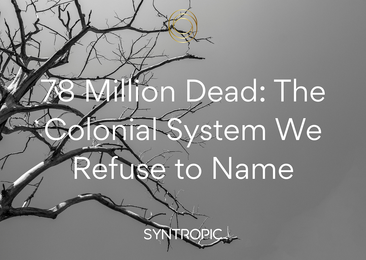 78 Million Dead: The Colonial System We Refuse to Name | by Christine ...
