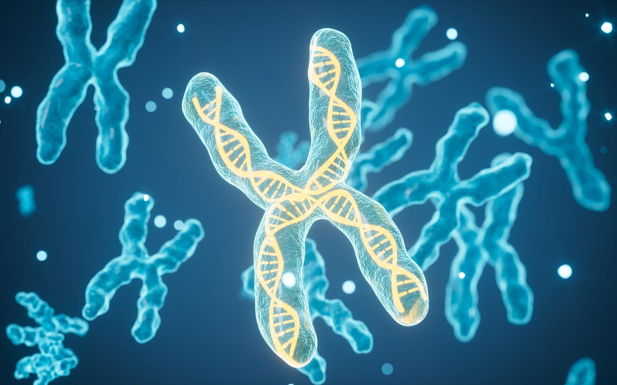 Important: The Y Male Chromosome has dwindled from over 900 to about 55 ...