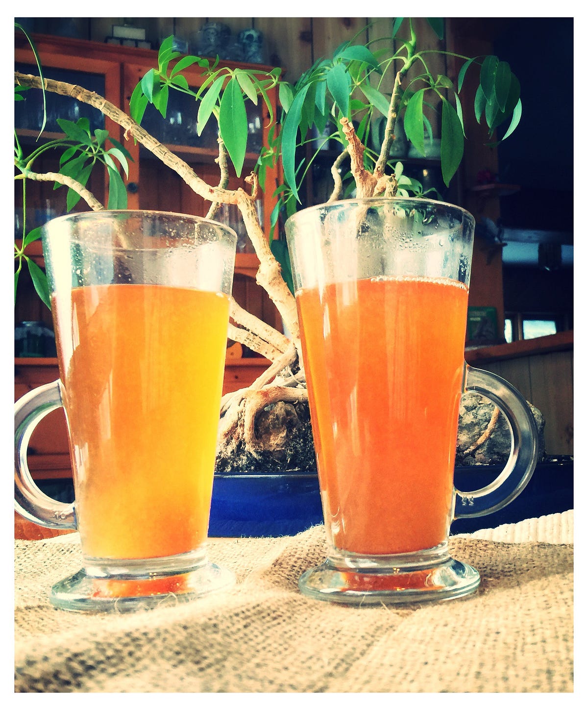 Roman Spiced Wine. You know how it goes, you start your… | by Genevieve ...