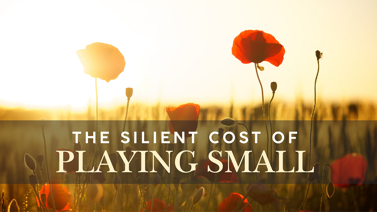 The Silent Cost of Playing Small: A Migrant’s Reflection on Tall Poppy ...