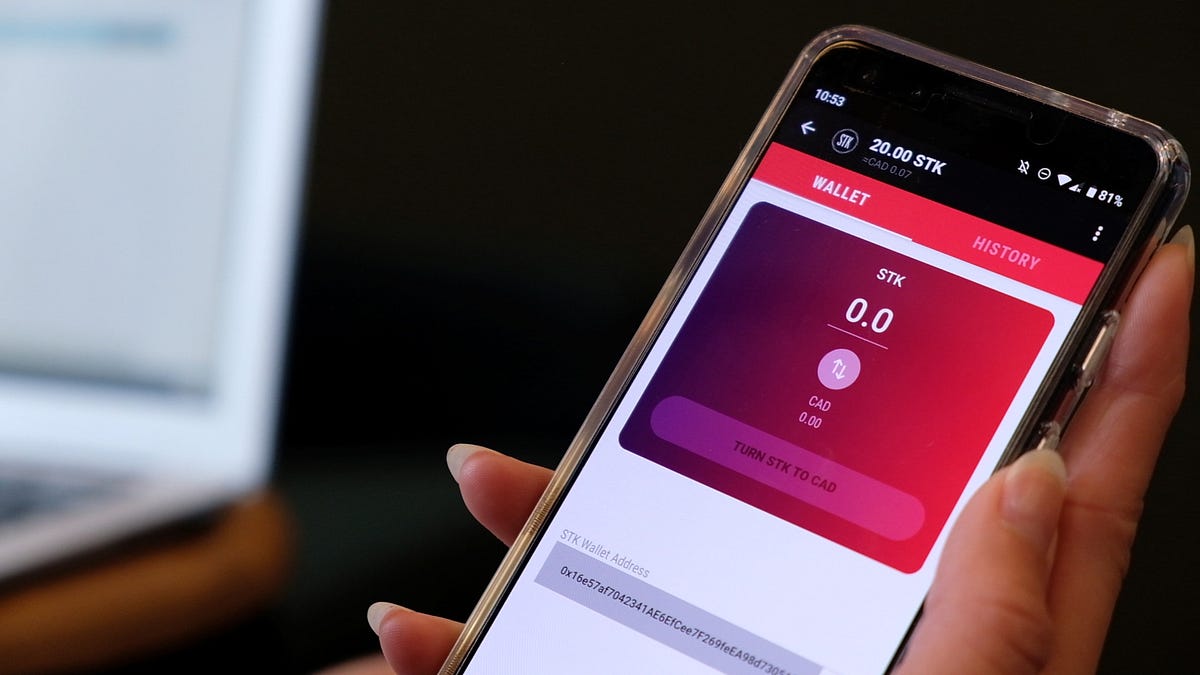 STK Progress Update: February 15th, 2019 | by STK Token | STK Token ...
