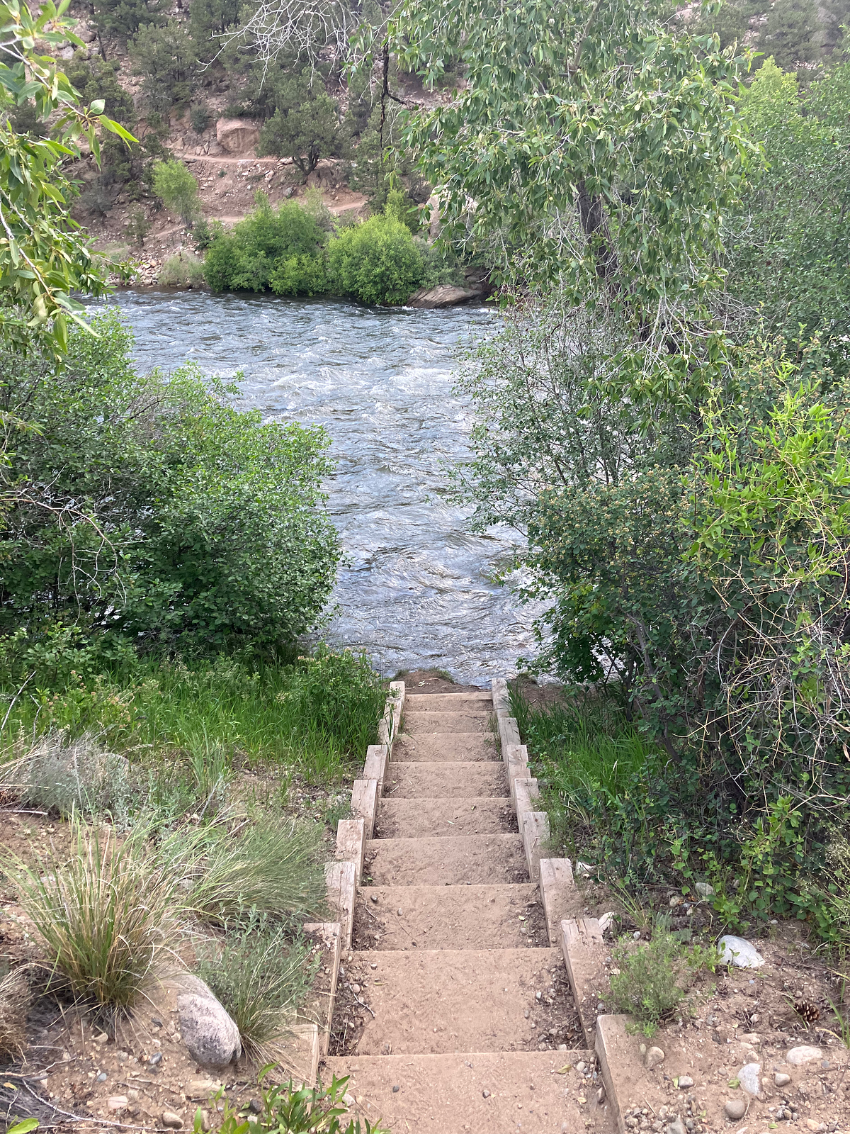 The Downward Path. It is the beginning of Spring, and as I… | by Jeff ...