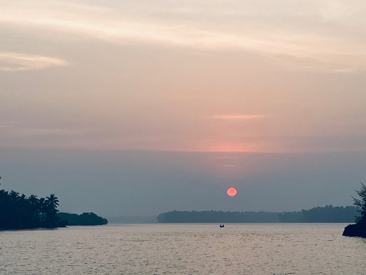 Escaping the trap of low self-esteem! | by Kavita Gupta, PhD | Feb ...