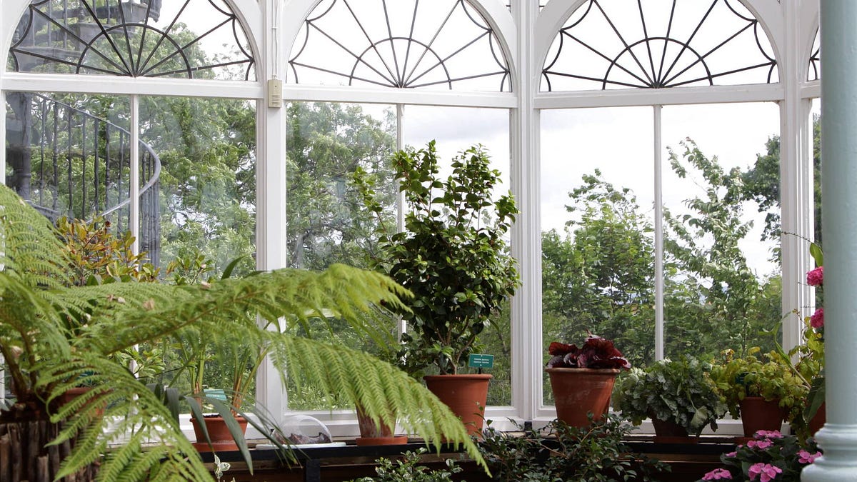 The Best Practices and Tips for Using Conservatories Safely and Responsibly | by Priti | Jan ...