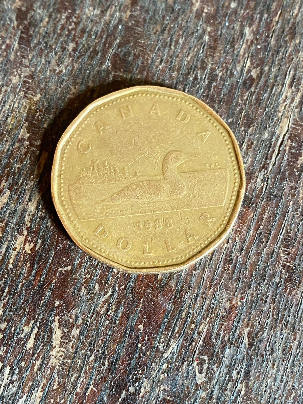 What Is A Canadian Loonie
