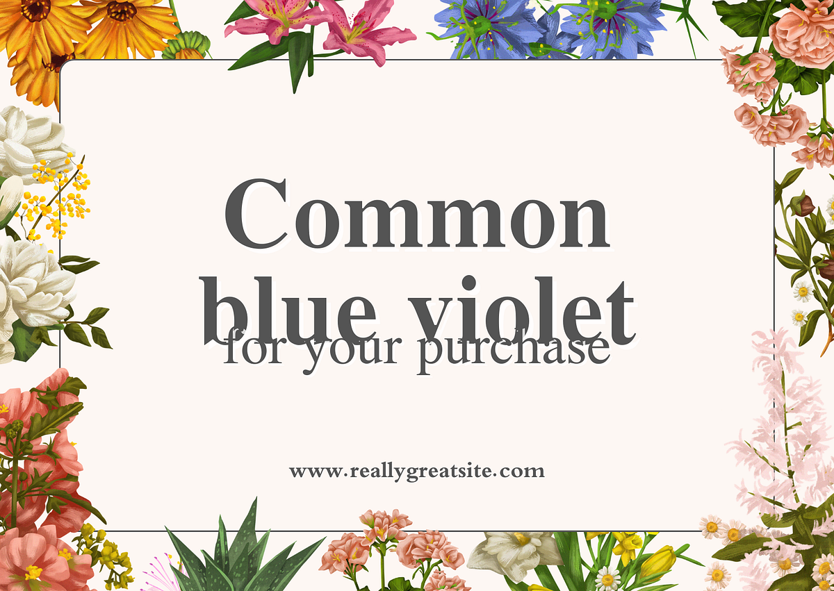 Common Blue Violet: A Beautiful and Versatile Flower | by poppy flower ...