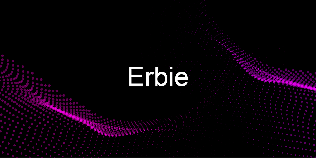 ErbieChain Latest Adjustment. Regarding the Update of Erbie | by Erbie ...