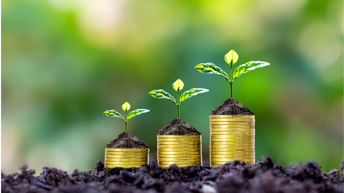 How to Write Seed Funding Business Plan? Guide & Template | by Ivan ...