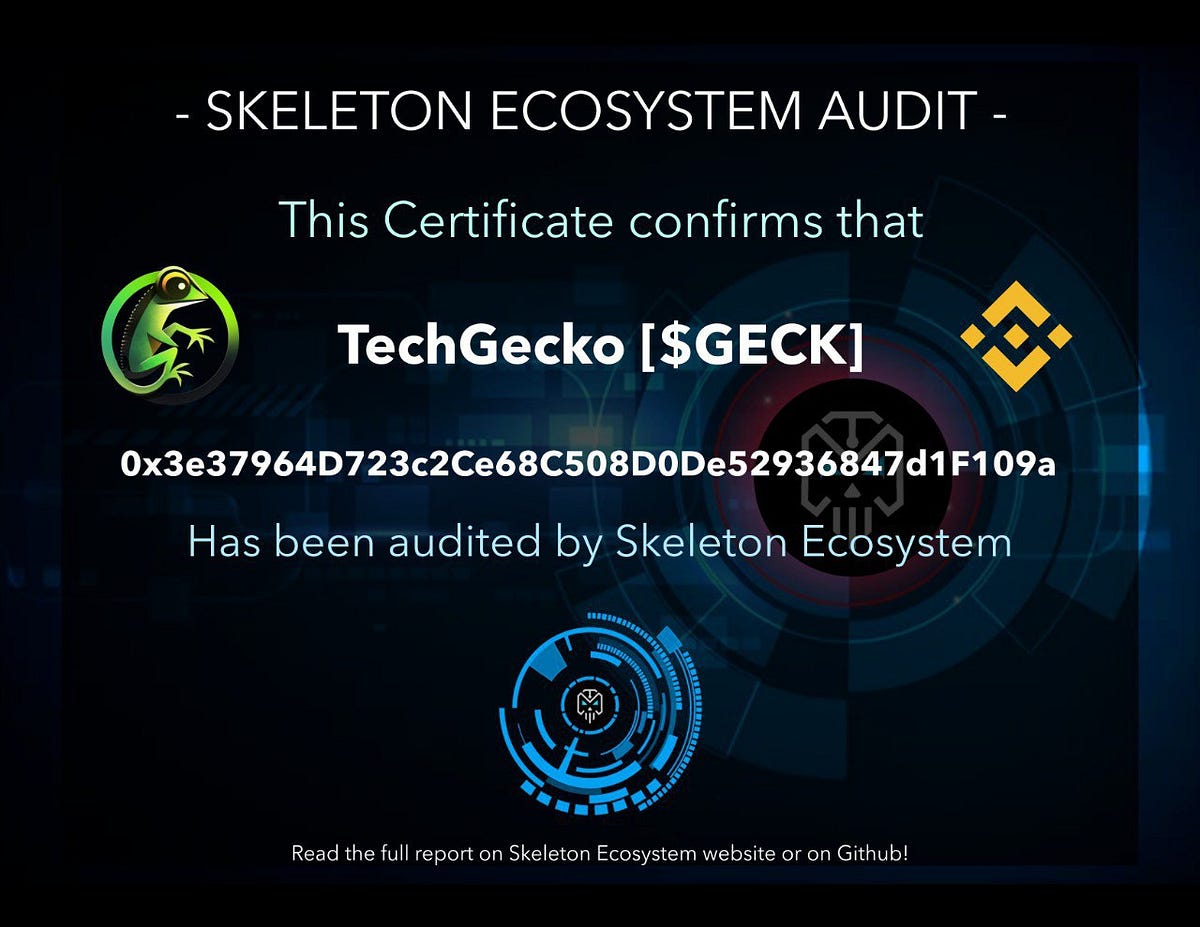 TechGecko Token Overview: Let’s End The First Month With A MoonShot ...