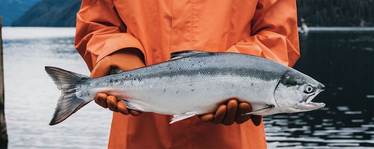 Mastercard and Wholechain bringing traceability to food supply chains ...