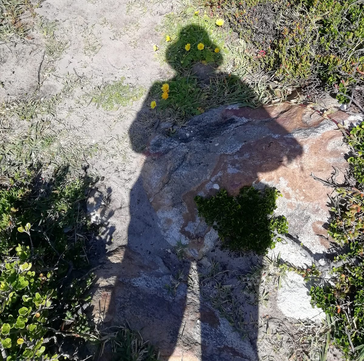 I’m Being Followed By A Swoon Shadow | by Mariana Fullstop | Six Word ...