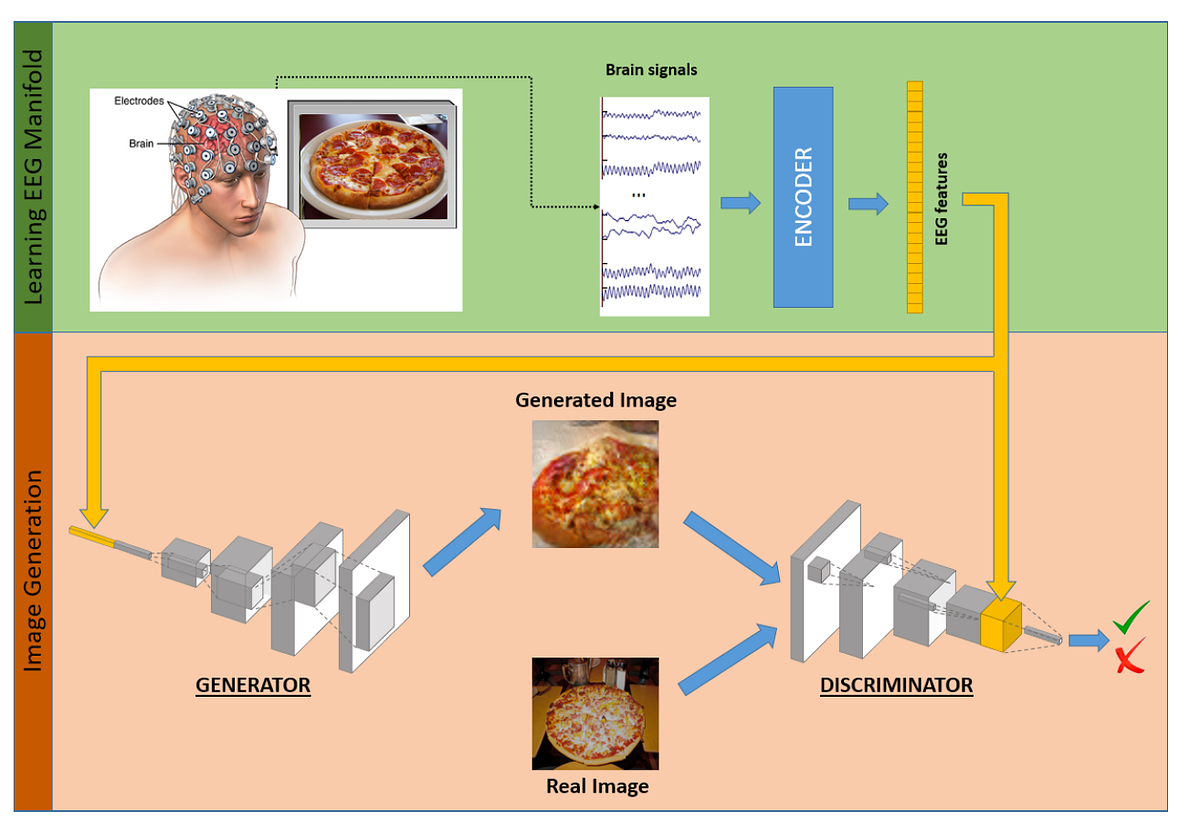 Generating Images from Brain Signals | by Pranoy Radhakrishnan ...