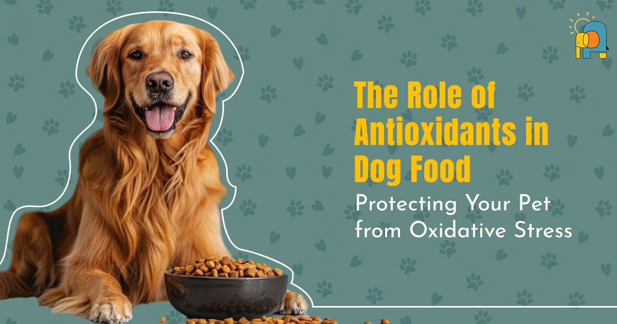 The Role of Antioxidants in Dog Food: Protecting Your Pet from ...