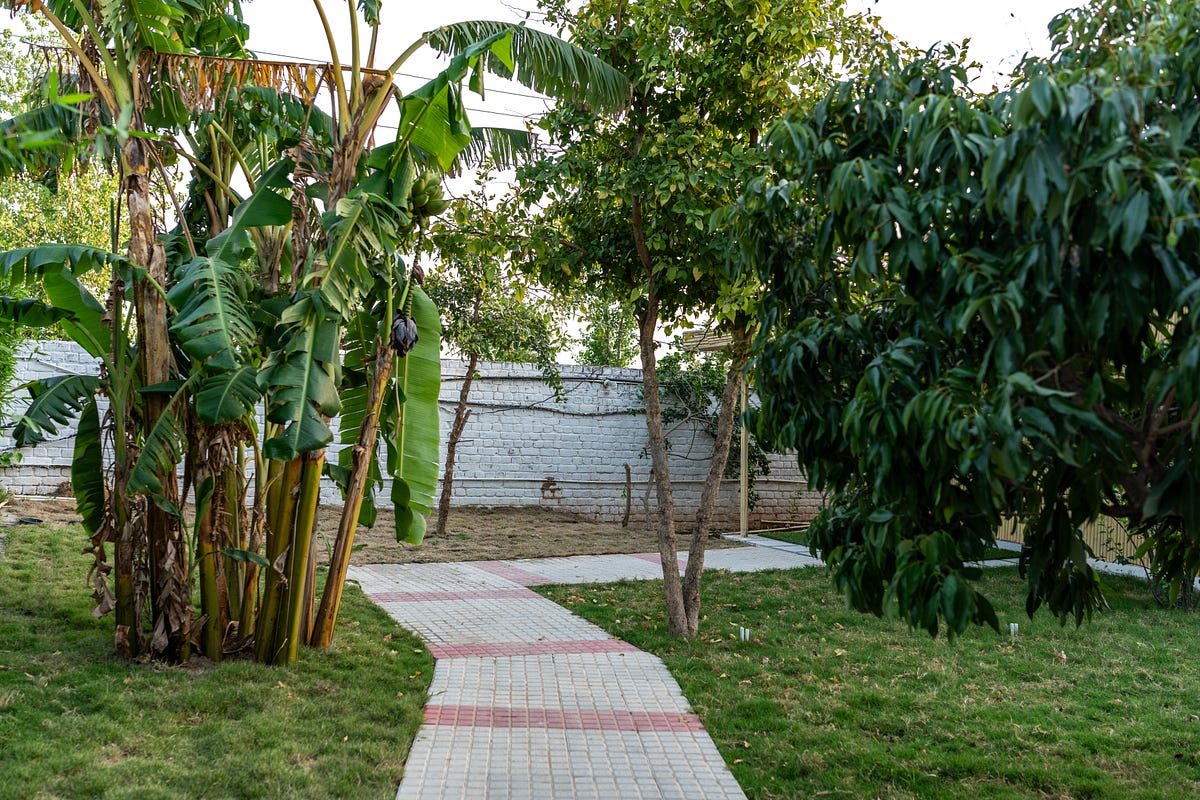 Best Hotel in Panchkula - Shivjotfarmsandresort - Medium