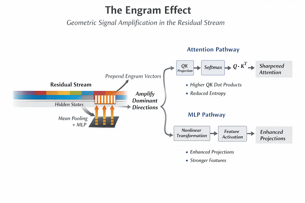 The Engram Effect: How a Simple Compression of Middle-Layer Hidden ...