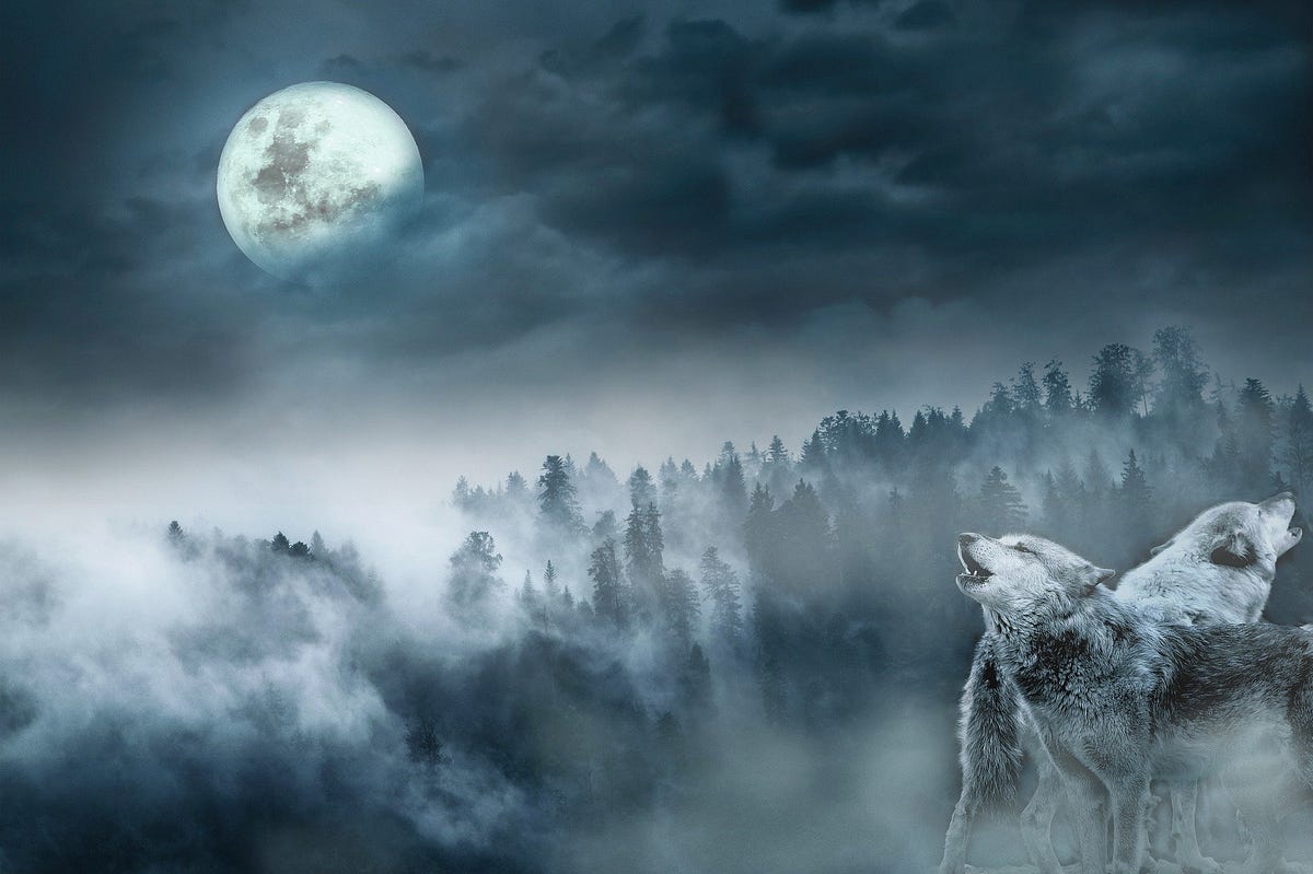 The Full Moon’s Cry - Bridget Webber Writes Stories - Medium