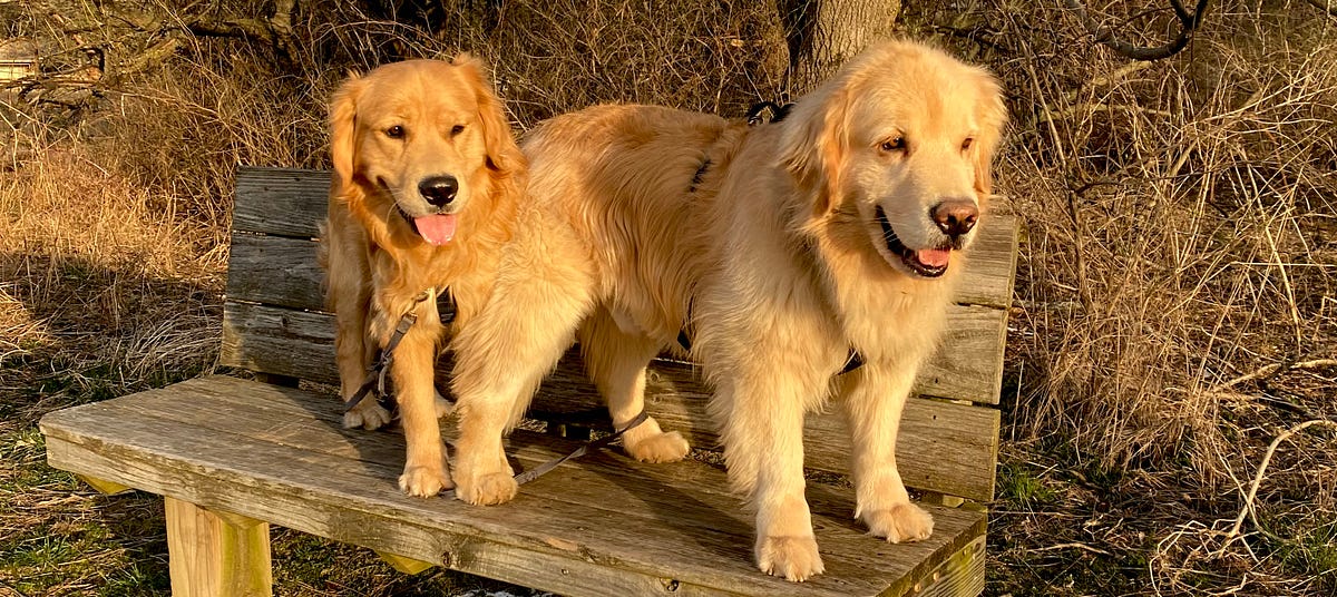 Enough with the Superlatives… Please | by Don Schaefer | Apr, 2024 | Medium